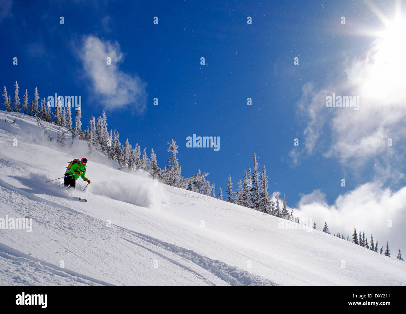 Back country skier skiing fresh powder snow, North Cascades Mountains ...