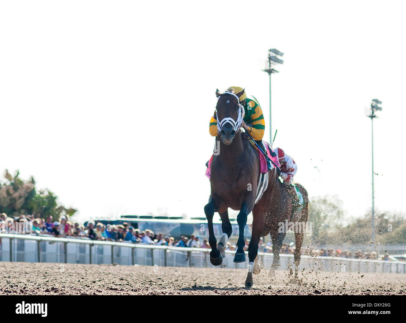 Fair grounds new orleans louisiana derby hi-res stock photography and ...