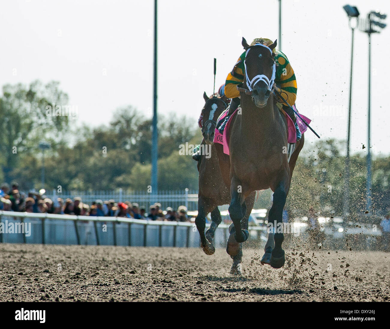 Fair grounds new orleans louisiana derby hi-res stock photography and ...
