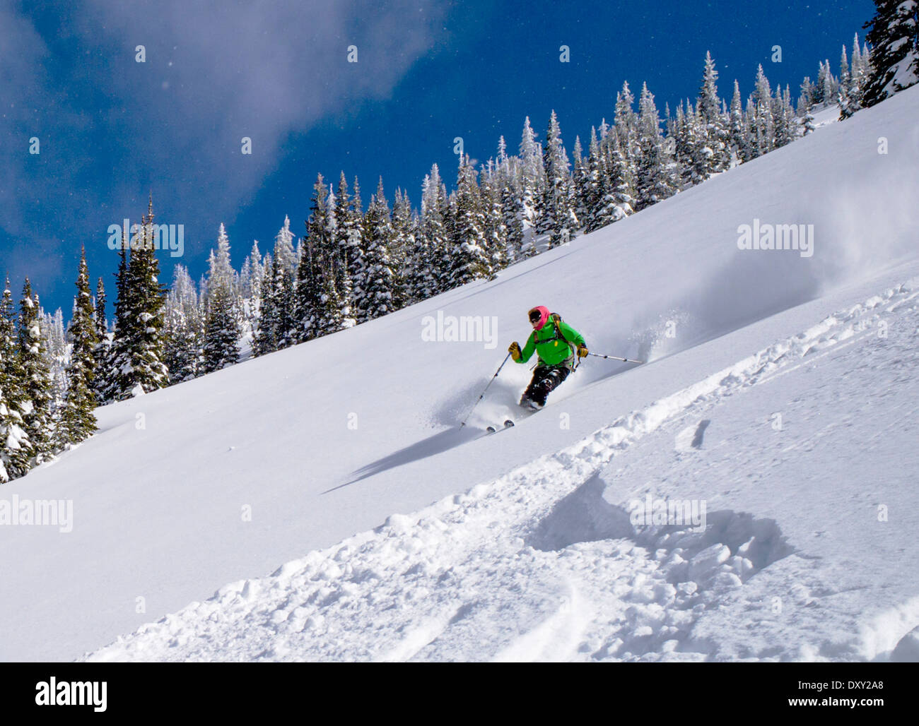 Back country skier skiing fresh powder snow, North Cascades Mountains ...