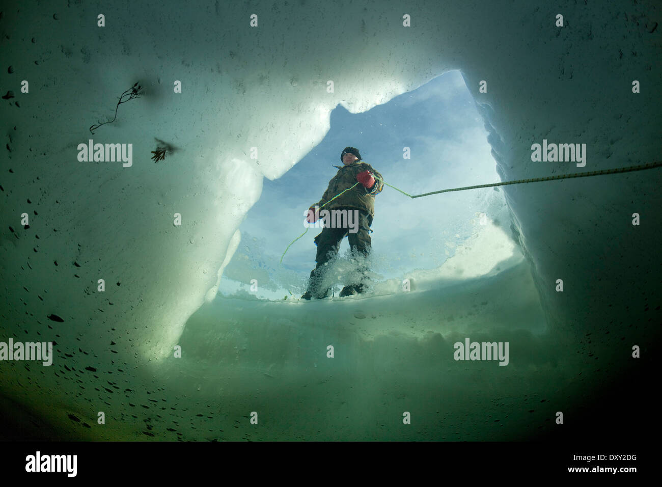 Ice Diving safeguarding with Safety Rope, White Sea, Karelia, Russia ...