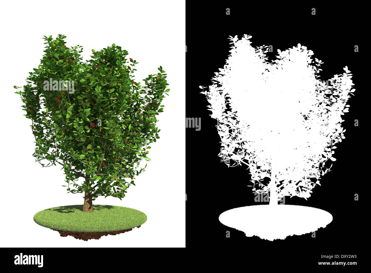 Raster mask hi-res stock photography and images - Alamy