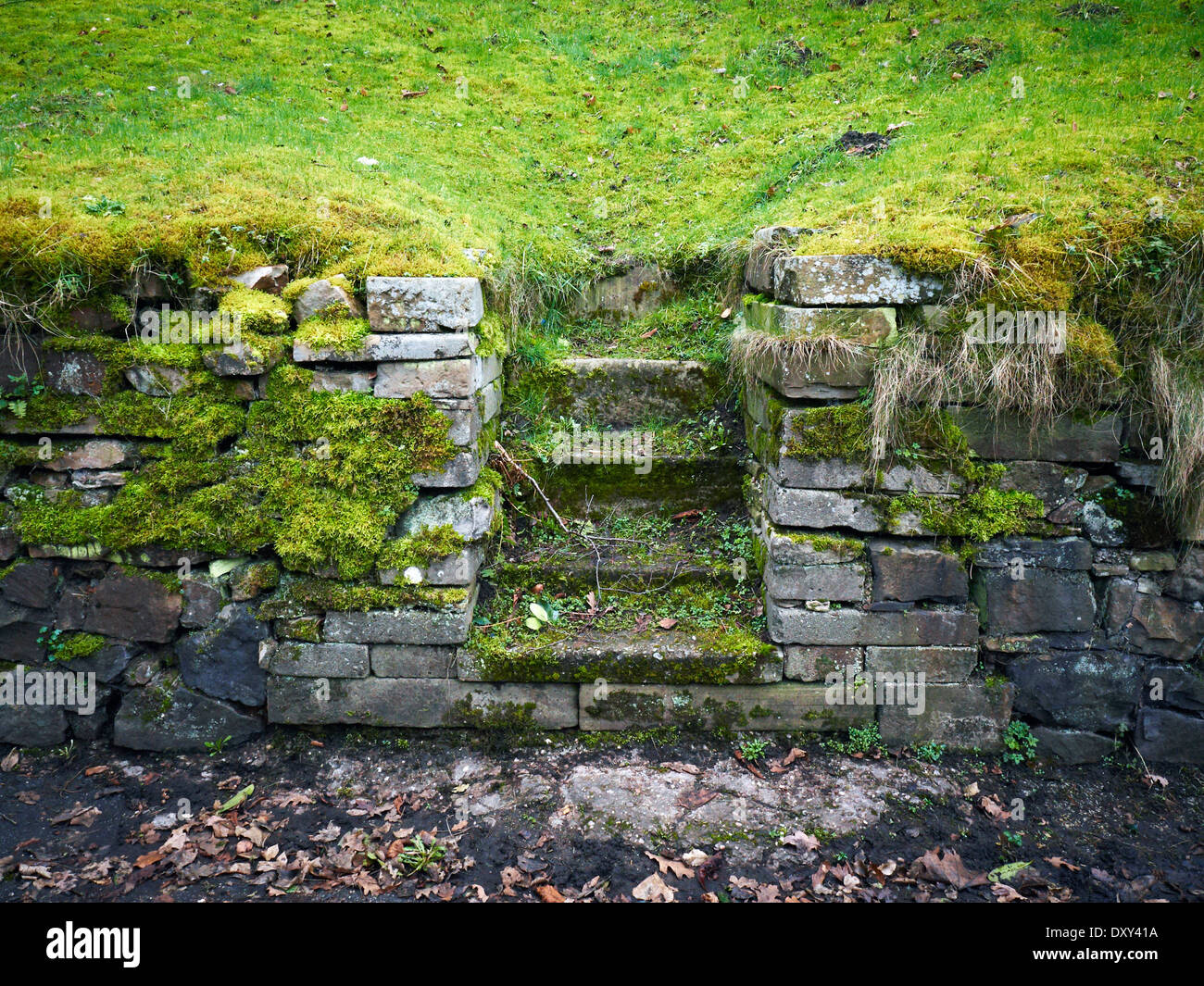 Steps into garden UK Stock Photo - Alamy