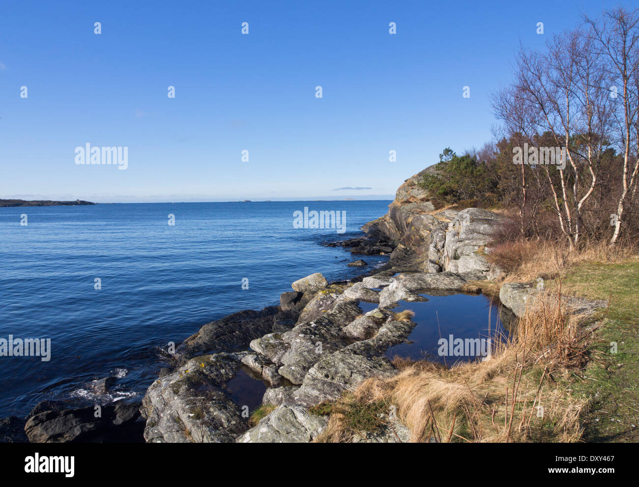Rockpools hi-res stock photography and images - Alamy