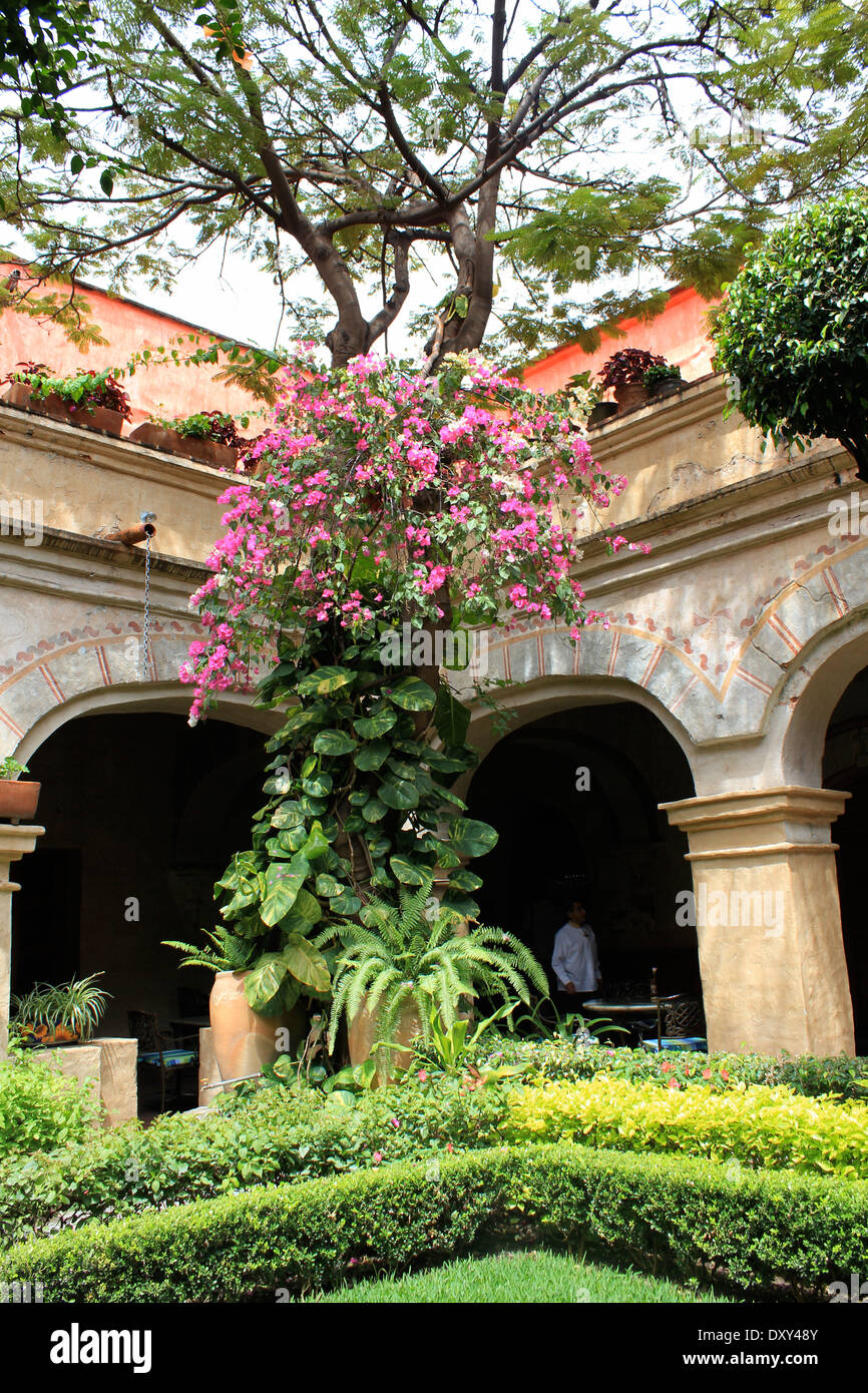 Inner courtyard of colonial building in Oaxaca, Mexico Stock Photo - Alamy