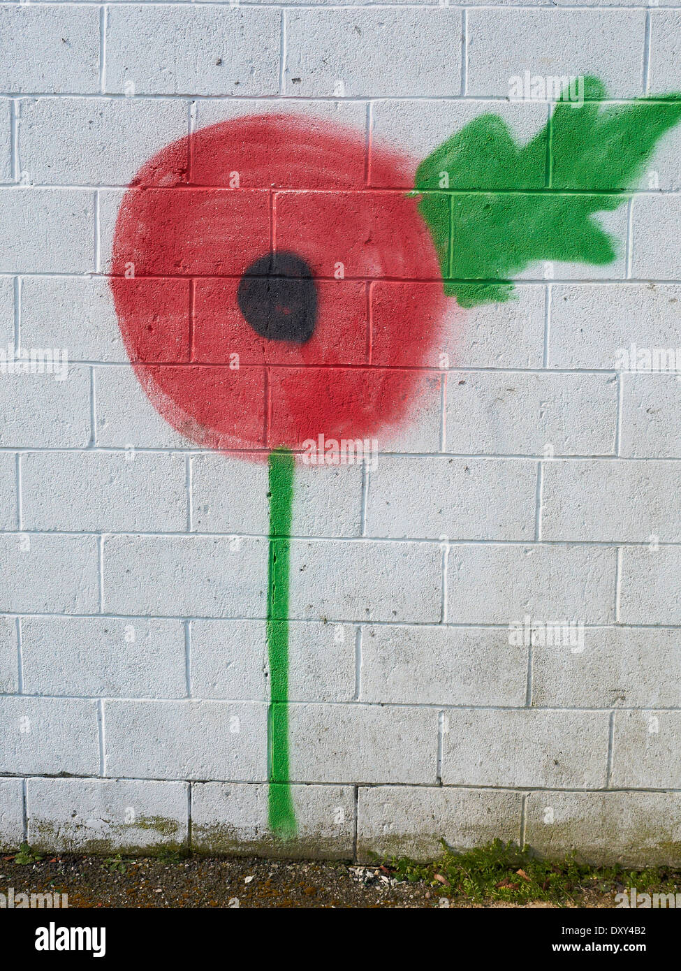 Poppy drawing hi-res stock photography and images - Alamy