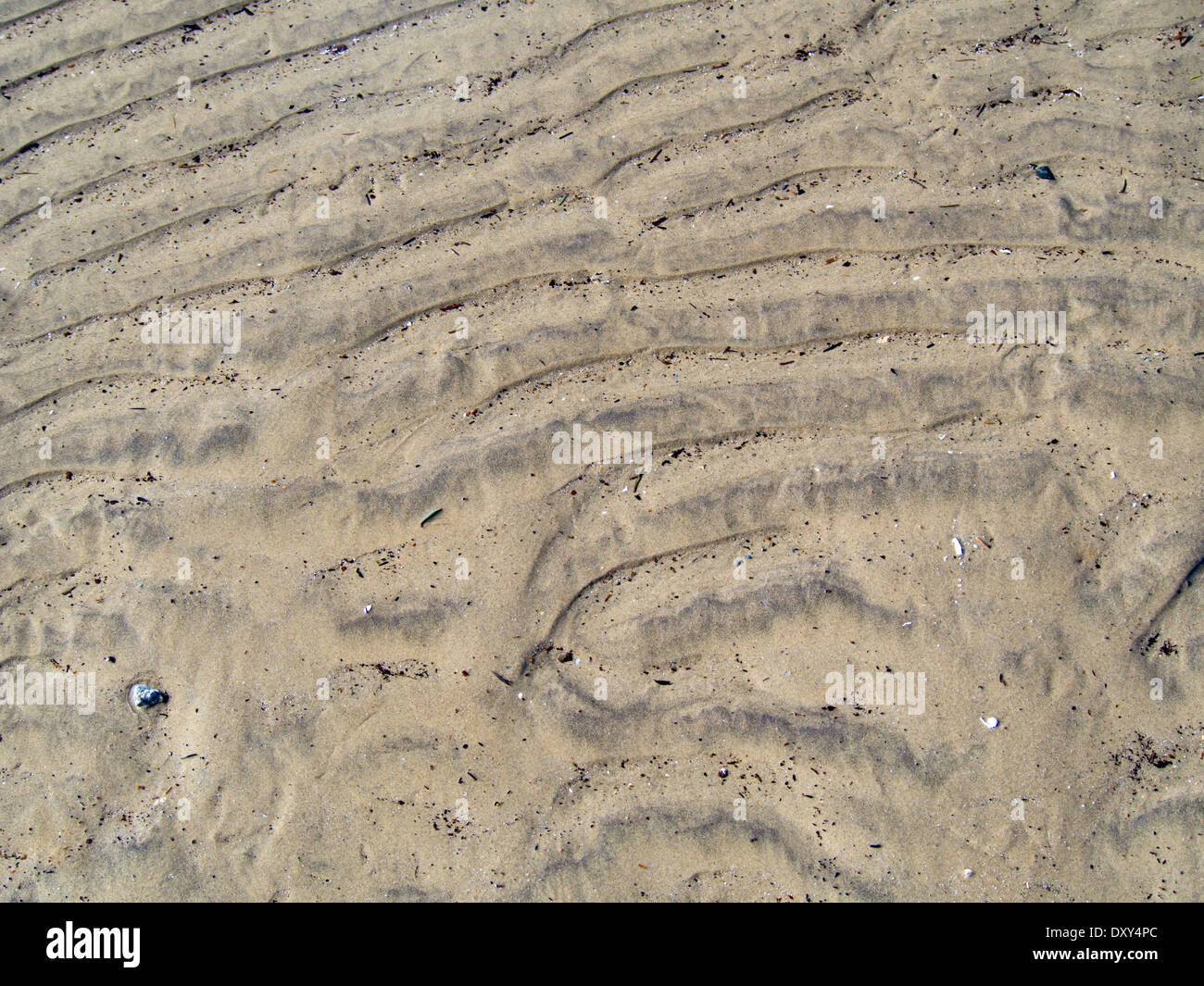 Edge wave hi-res stock photography and images - Alamy