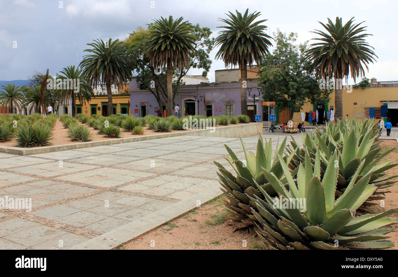 Mexico square hi-res stock photography and images - Alamy