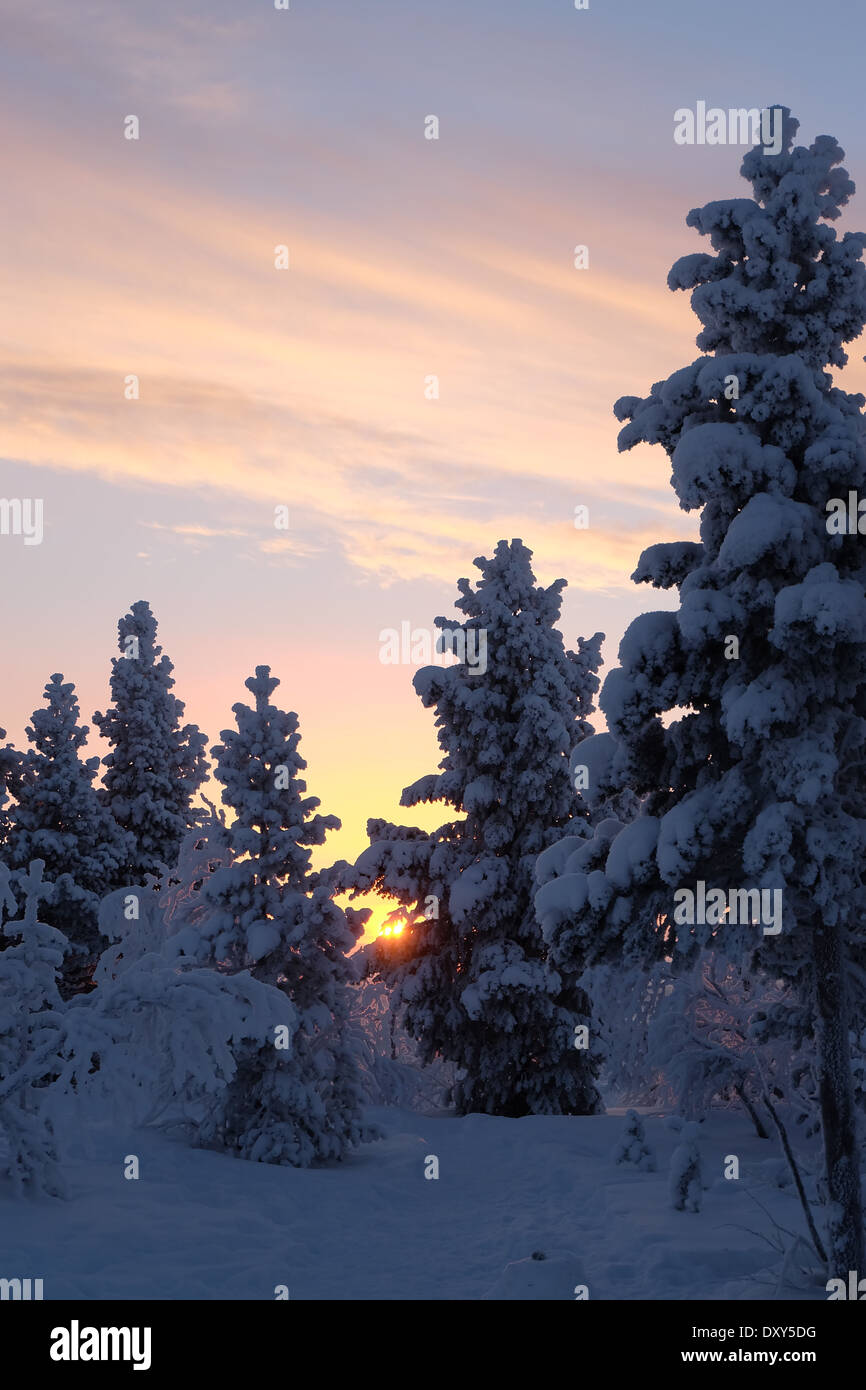 Finland snow hi-res stock photography and images - Alamy