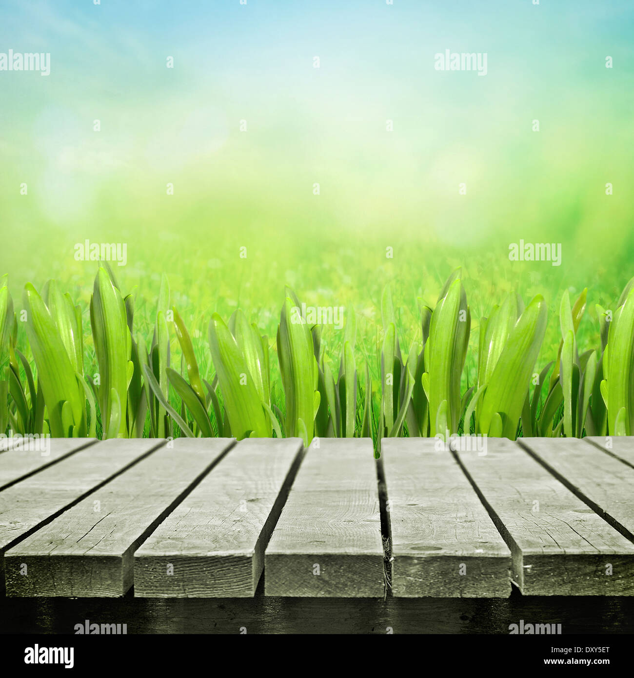 Table with grass hi-res stock photography and images - Alamy