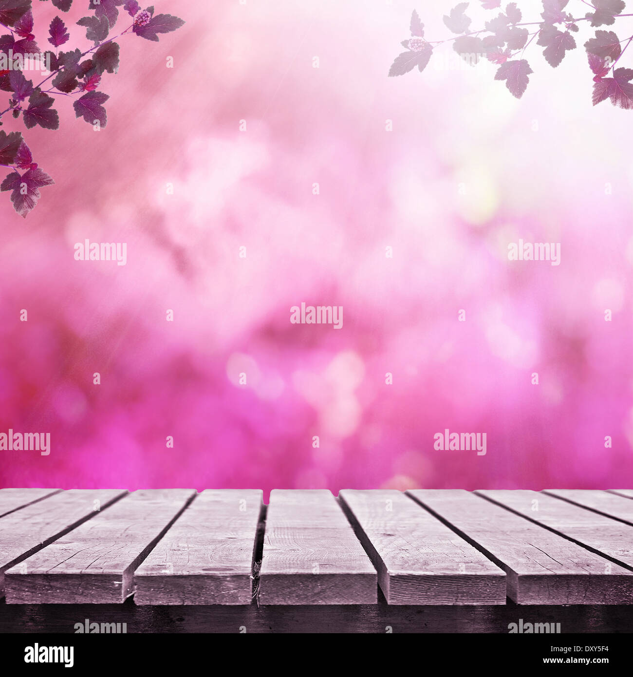 Branch table hi-res stock photography and images - Alamy