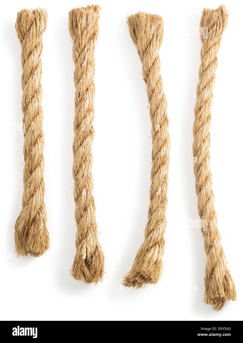 ship ropes isolated on white background Stock Photo - Alamy