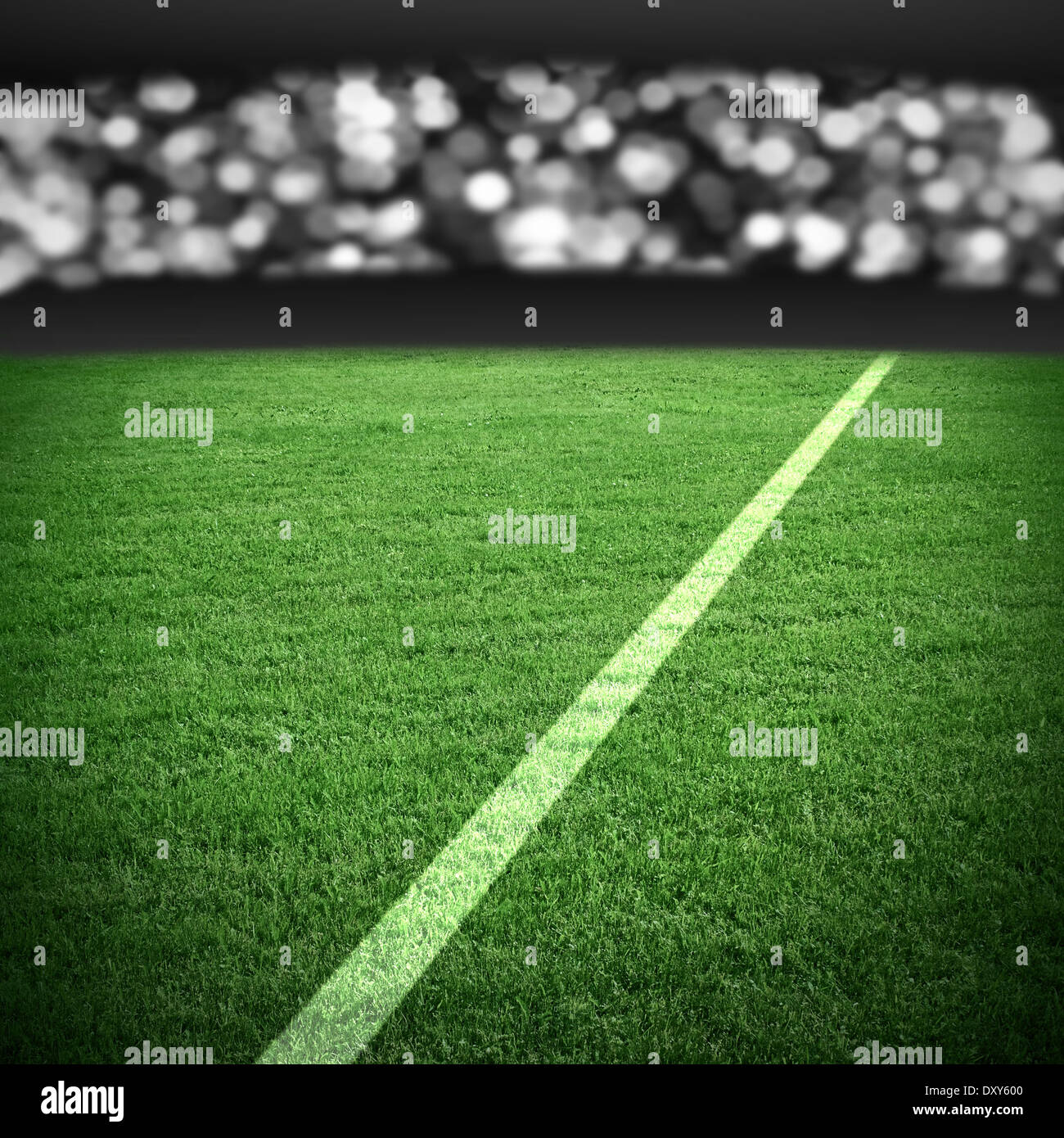 Sport grass field in the stadium Stock Photo - Alamy