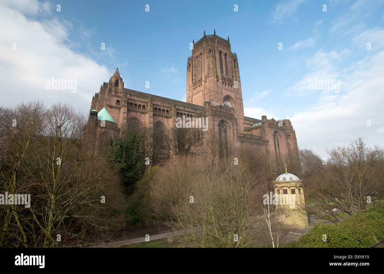 The Anglican Cathedral amidst winter trees, Liverpool, England, UK ...