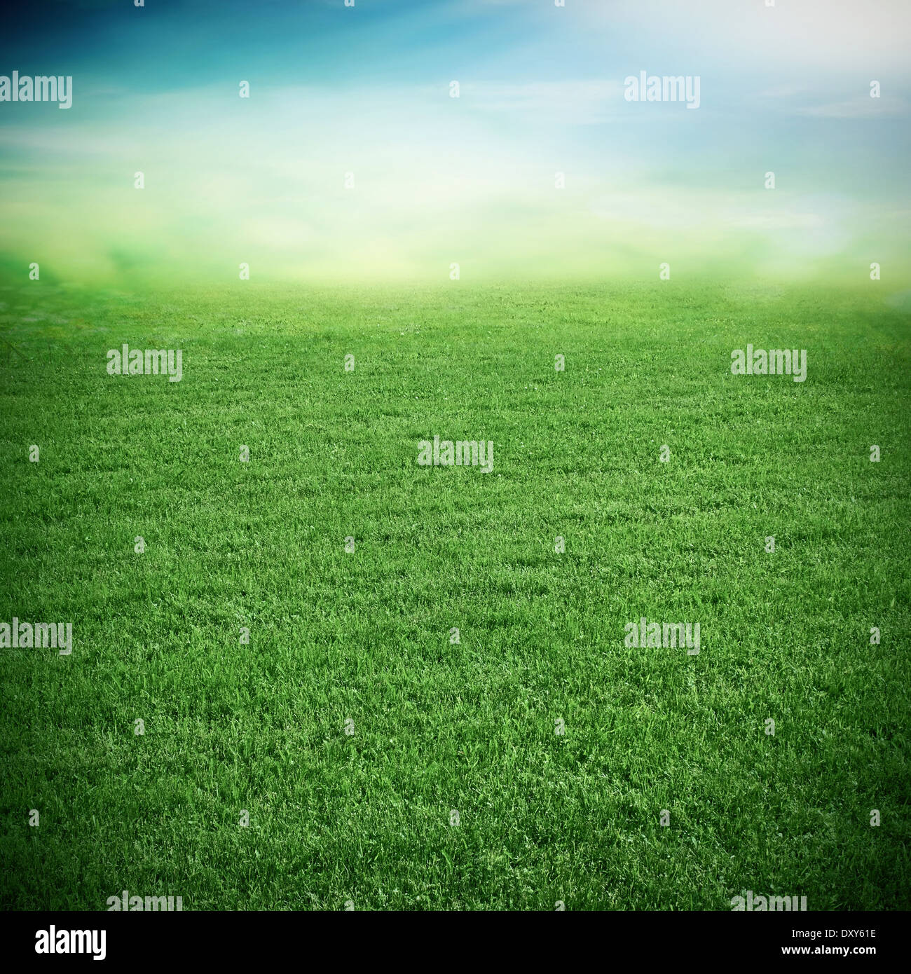 Field arena hi-res stock photography and images - Alamy