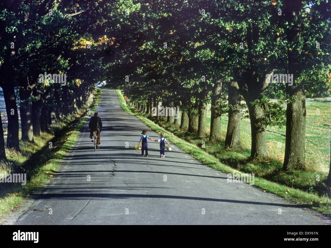 Two boys walking down road hi-res stock photography and images - Alamy
