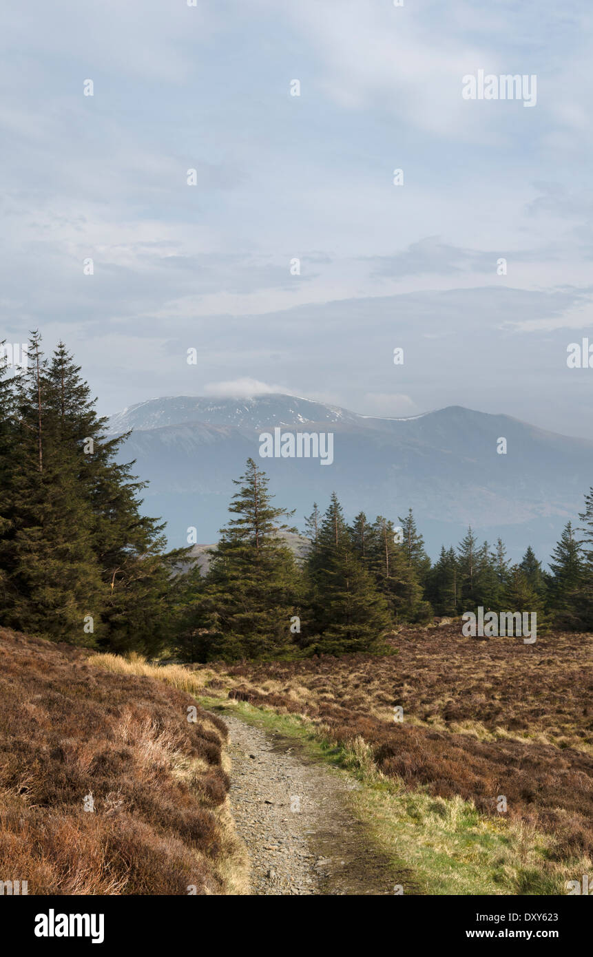 Whinlatter path hi-res stock photography and images - Alamy