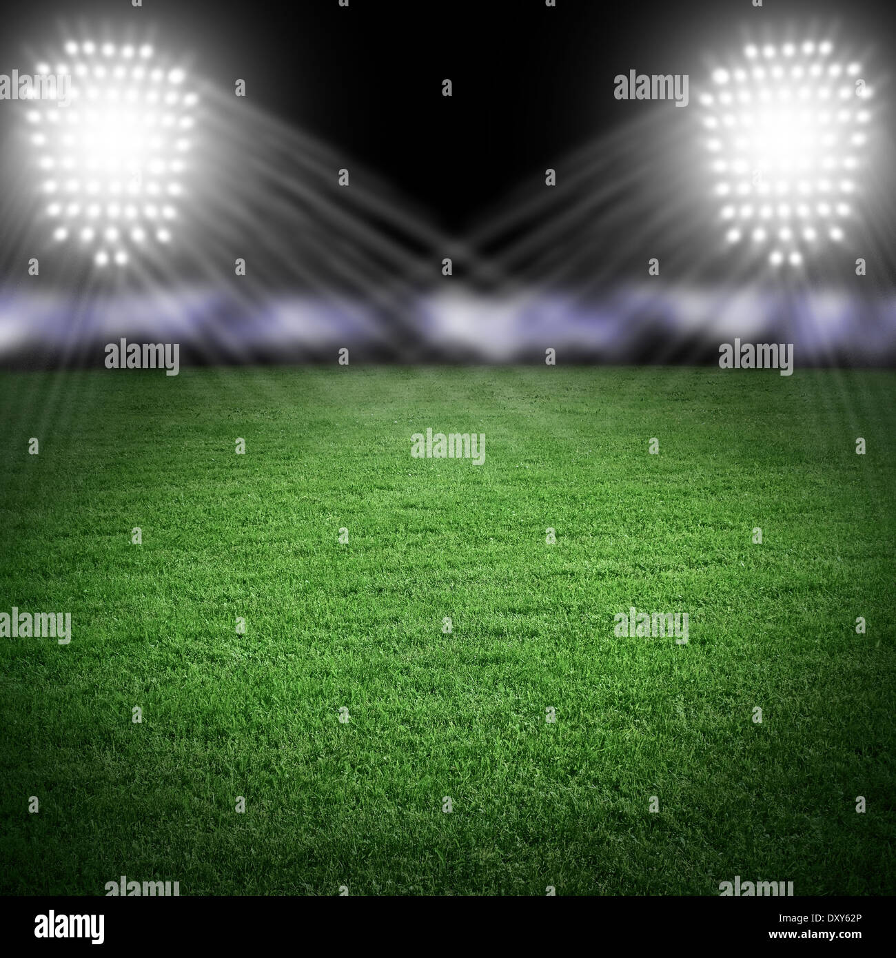 Sport grass field in the stadium Stock Photo - Alamy