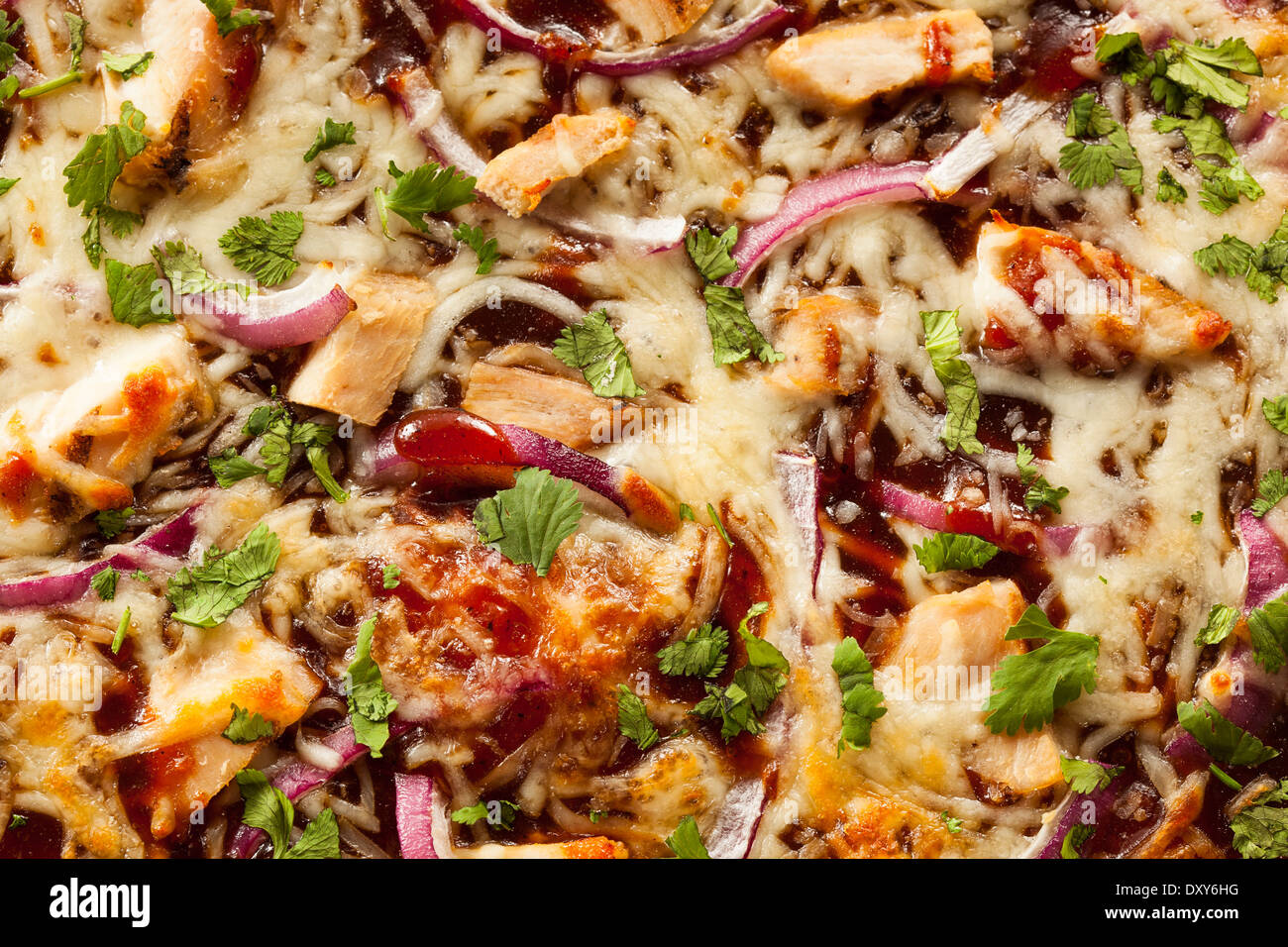 Homemade Barbecue Chicken Pizza with Onions and Cilantro Stock Photo ...