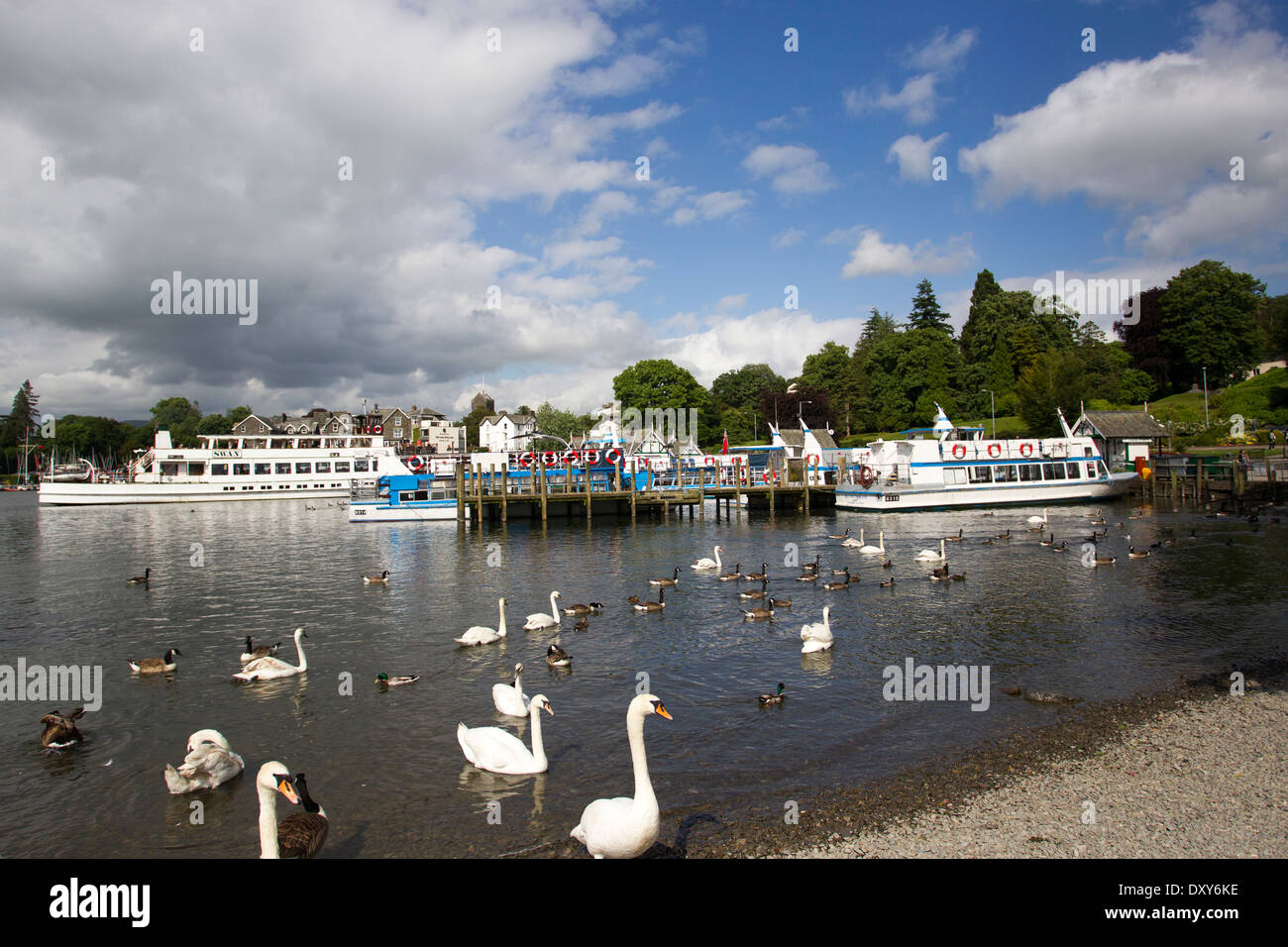 Bowness Bay on Lake Windermere and passenger pleasure boats from ...