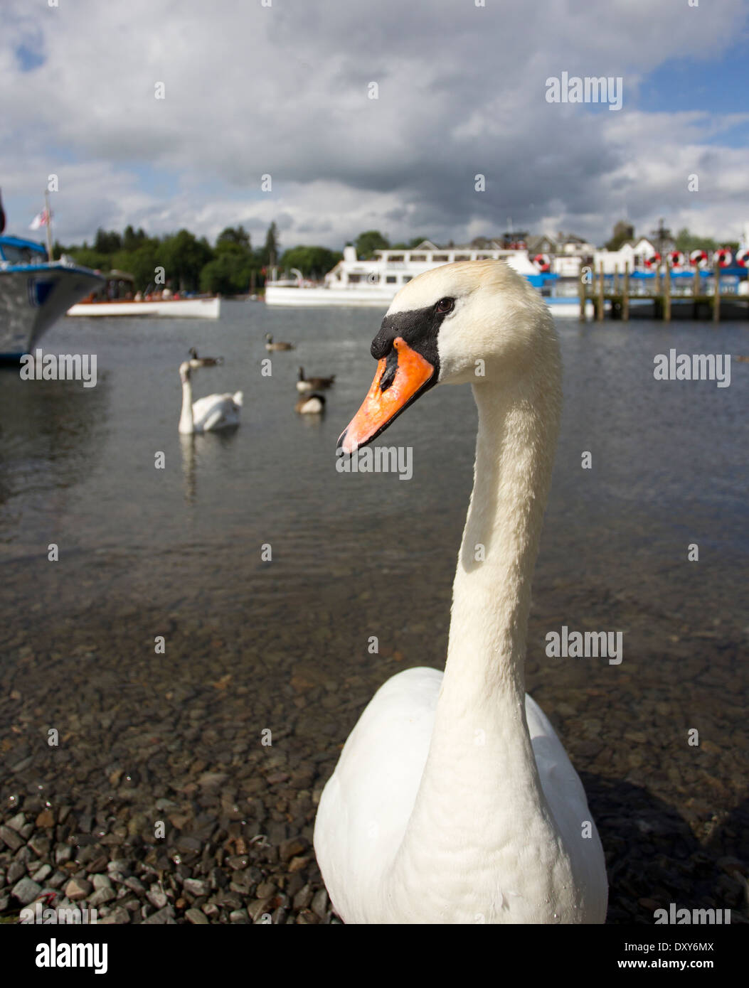 Bowness on windermere craft hi-res stock photography and images - Alamy