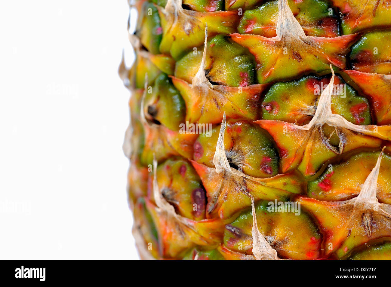 Close up pineapple skin hi-res stock photography and images - Alamy