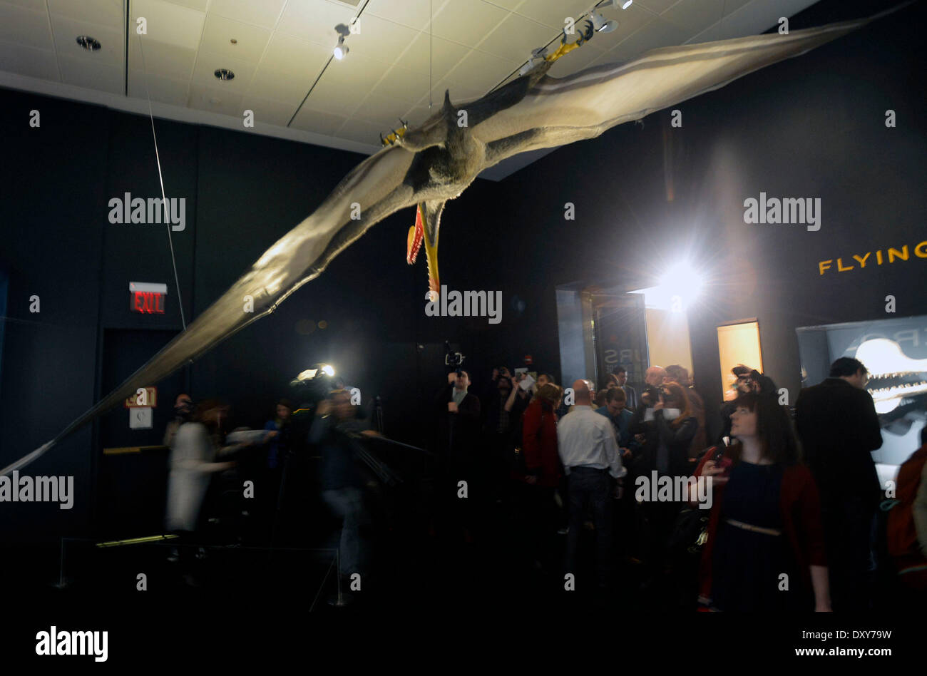 New York, USA. 1st Apr, 2014. A pterosaur model is seen during the ...