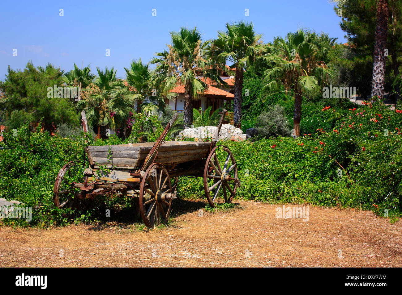 An old cart in Turkey Stock Photo - Alamy
