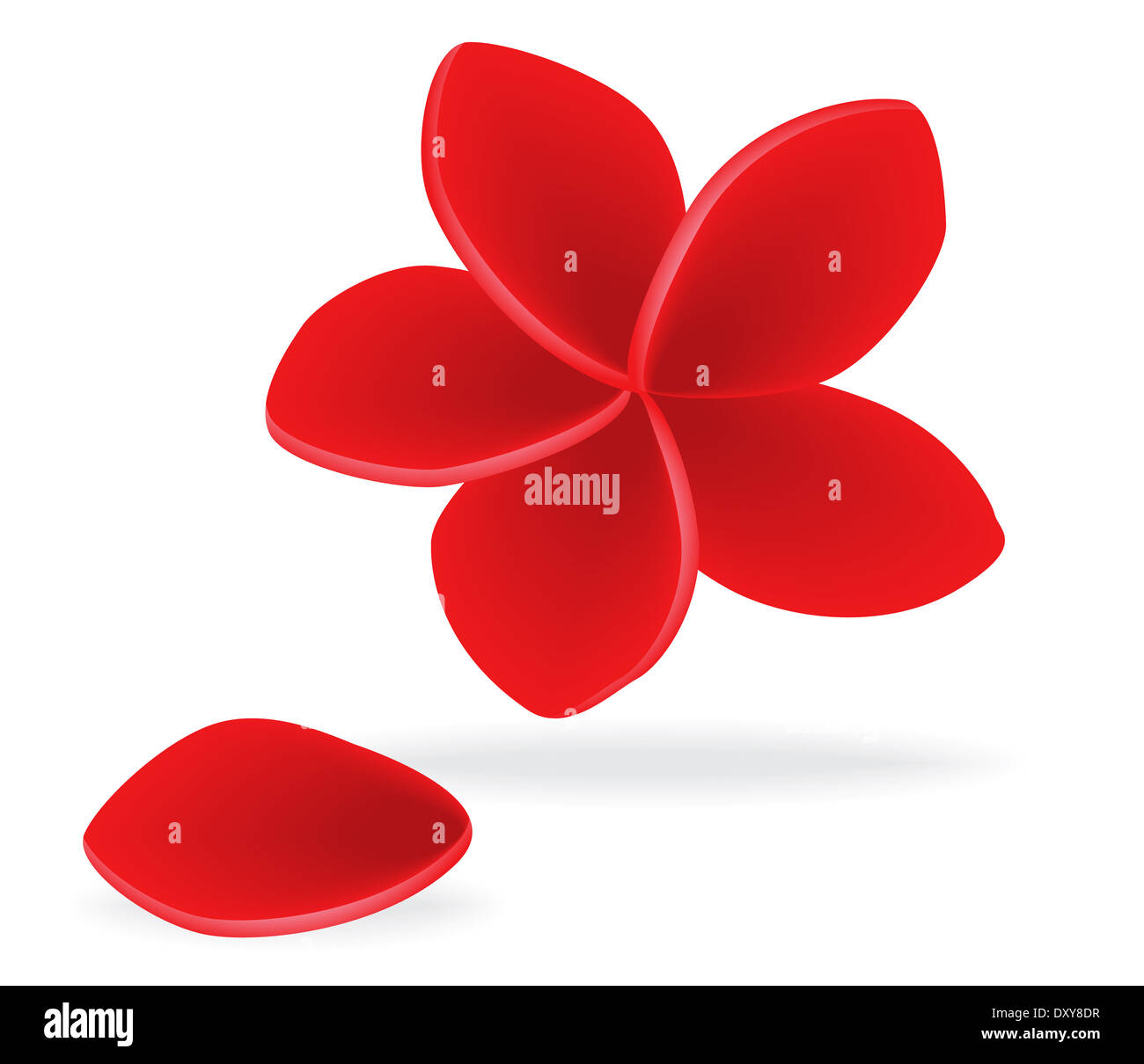 Close up frangipani plant Cut Out Stock Images & Pictures - Alamy