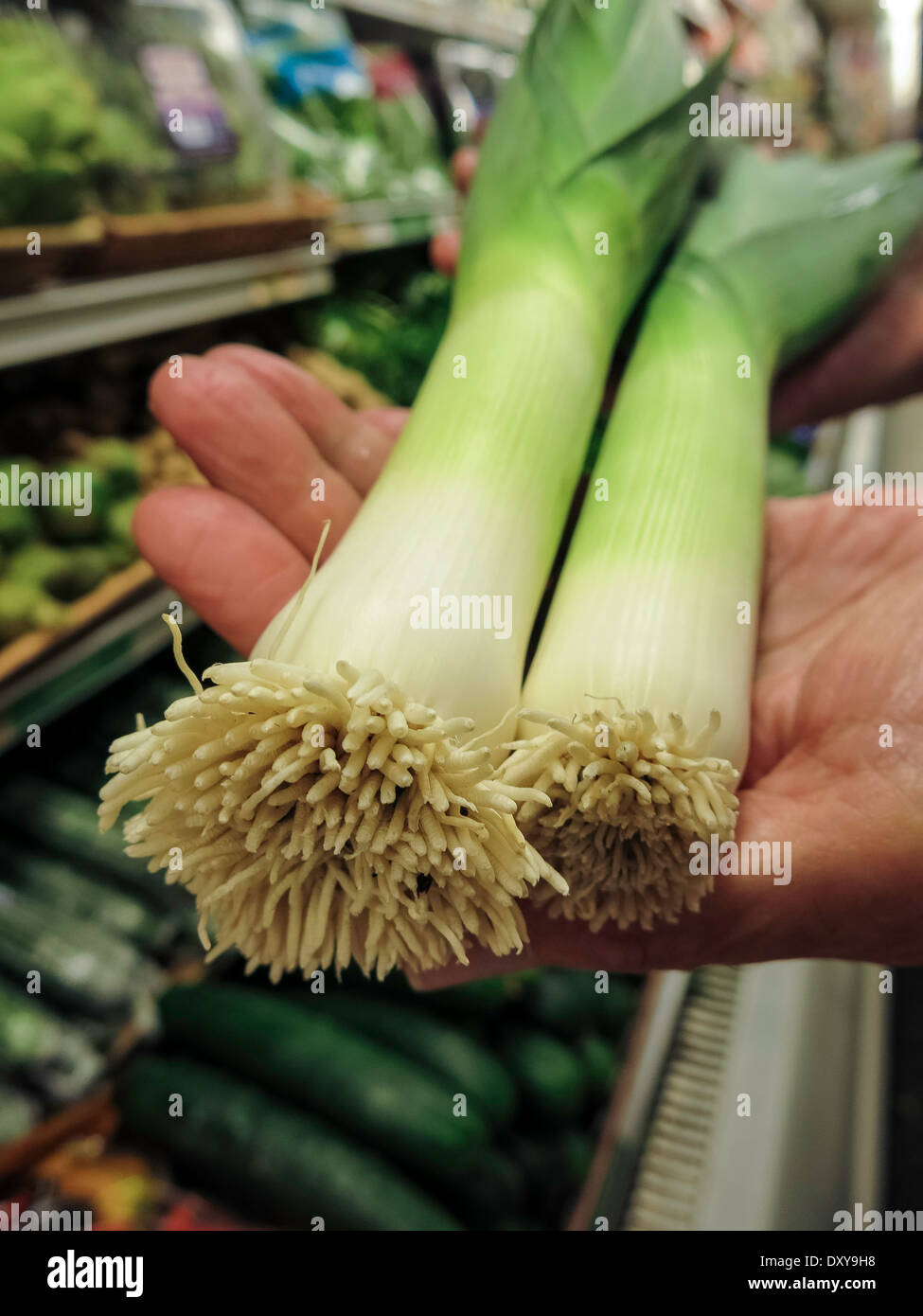 Man holding leeks hi-res stock photography and images - Alamy