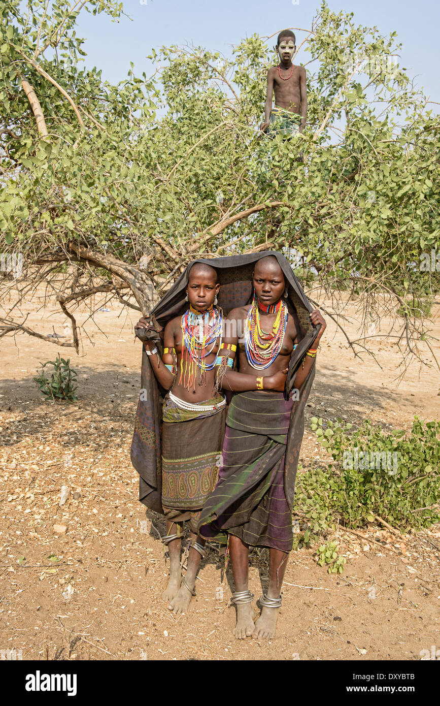 girls of the Arbore tribe and a boy in a tree, Lower Omo Valley of ...