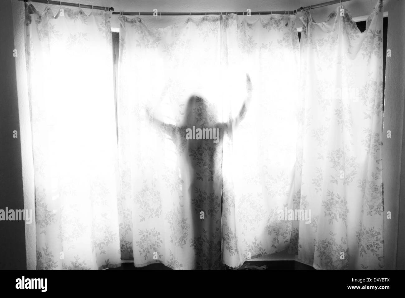 shadow of a lady behind the curtain Stock Photo - Alamy
