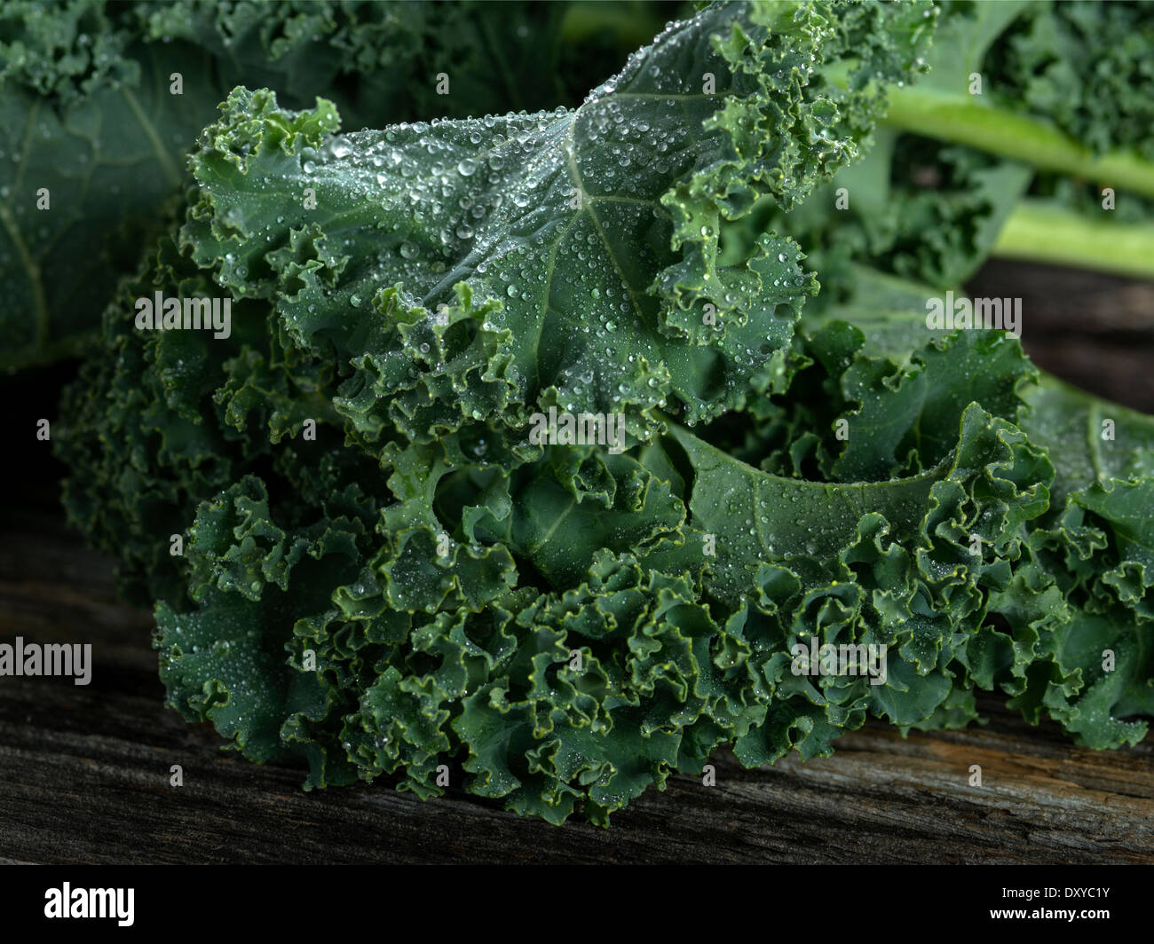 Organic kale with water droplets in closeup Stock Photo - Alamy