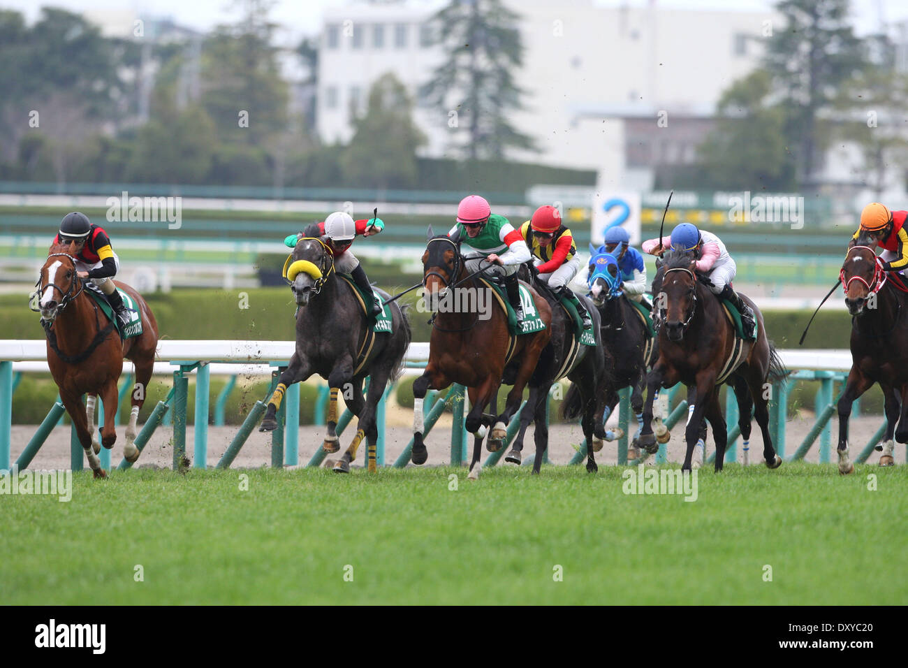 Hyogo, Japan. 29th Mar, 2014. (L-R) A Shin Bullseye (Shinichiro Akiyama ...