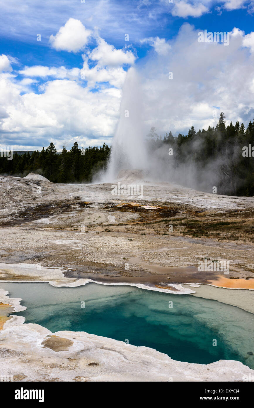 Heart Spring in Yellowstone's Upper Geyser Basin with the Lion Geyser ...