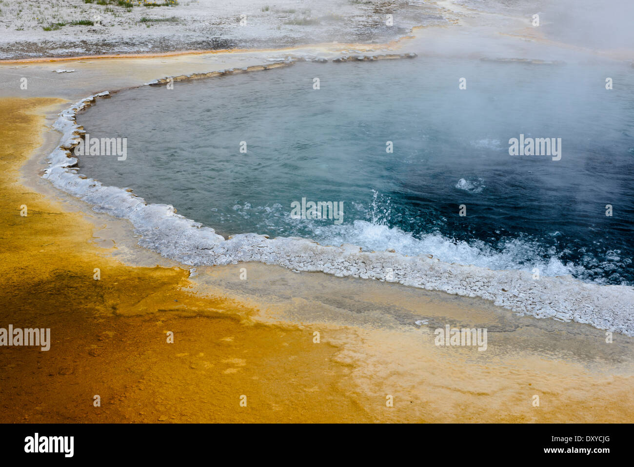 Crested Pool detail during eruption. Crested Pool is part of the Upper ...