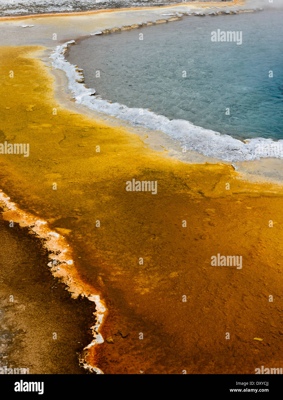 Crested Pool detail during eruption. Crested Pool is part of the Upper ...