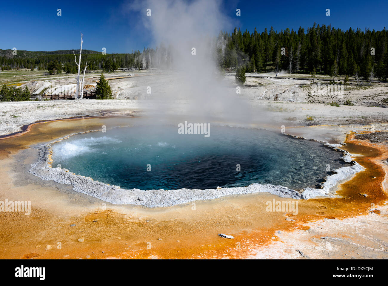 Crested Pool during eruption. Crested Pool is part of the Upper Geyser ...
