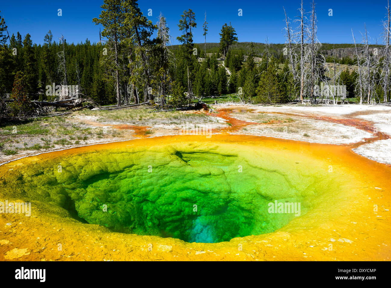 Morning Glory Pool part of the Upper Geyser Basin, Yellowstone National ...