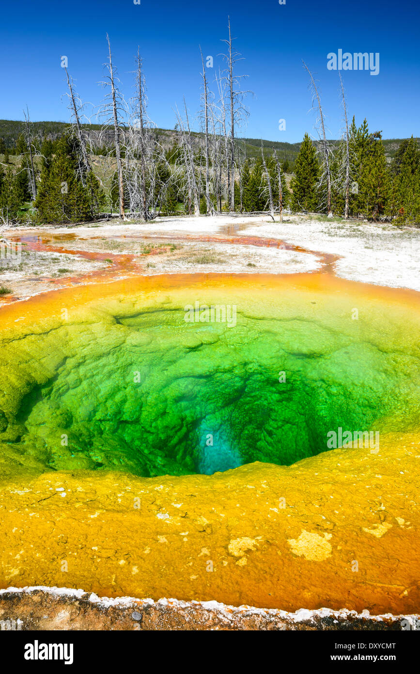 Morning Glory Pool part of the Upper Geyser Basin, Yellowstone National ...