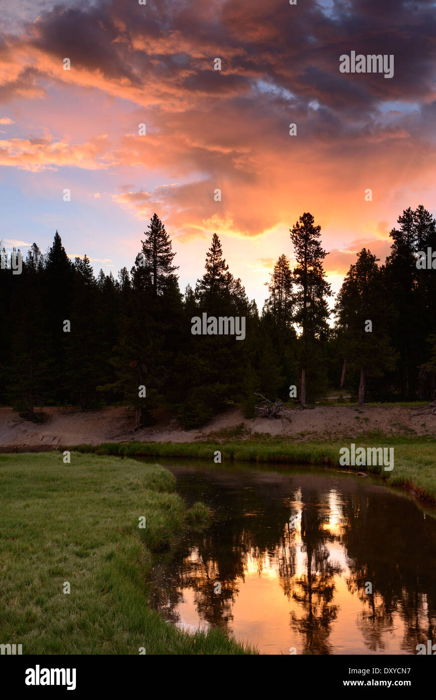 Yellowstone hi-res stock photography and images - Alamy