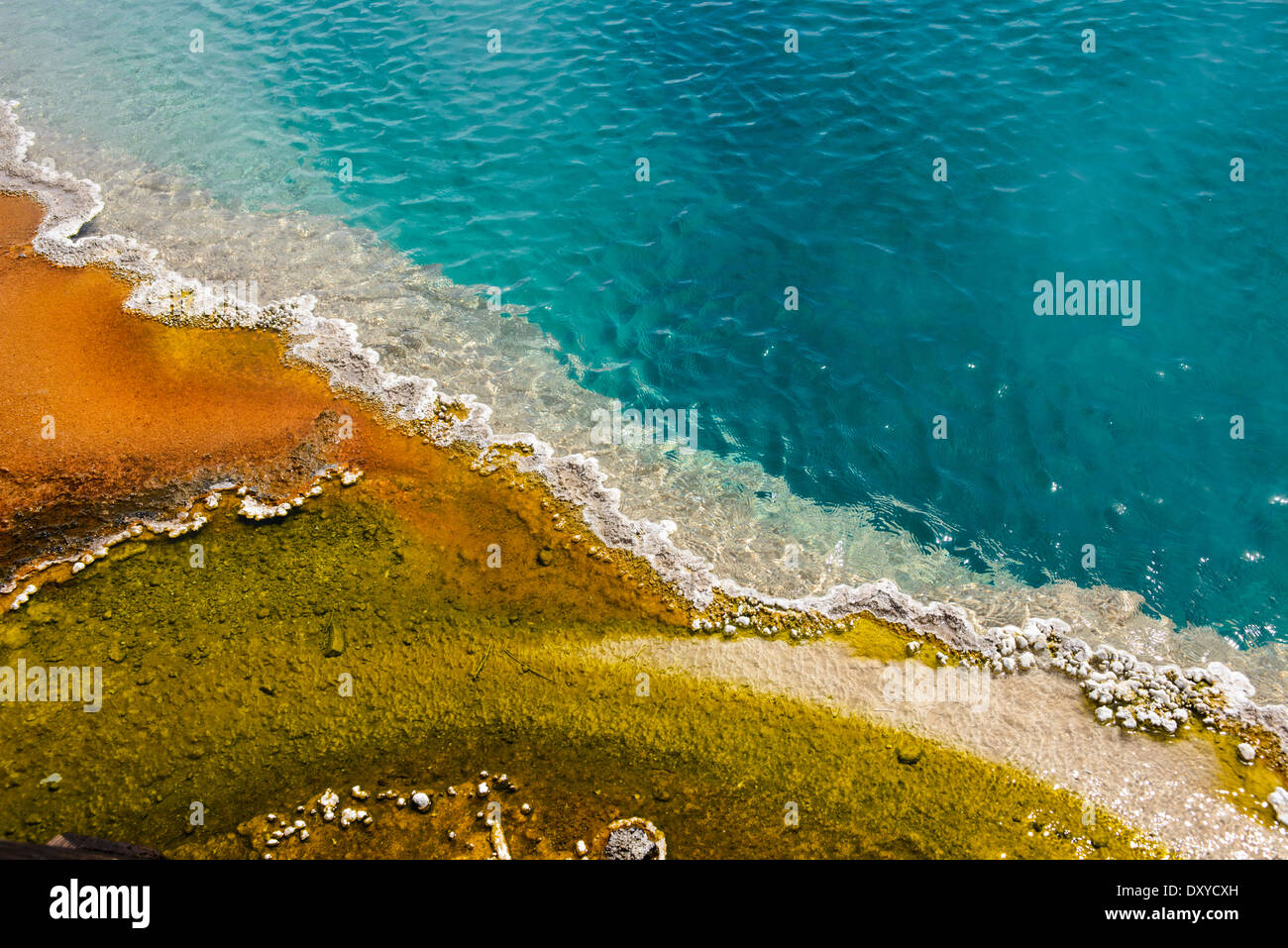 Detail of Black Pool Geyser in the Lower Group of West Thumb Basin ...
