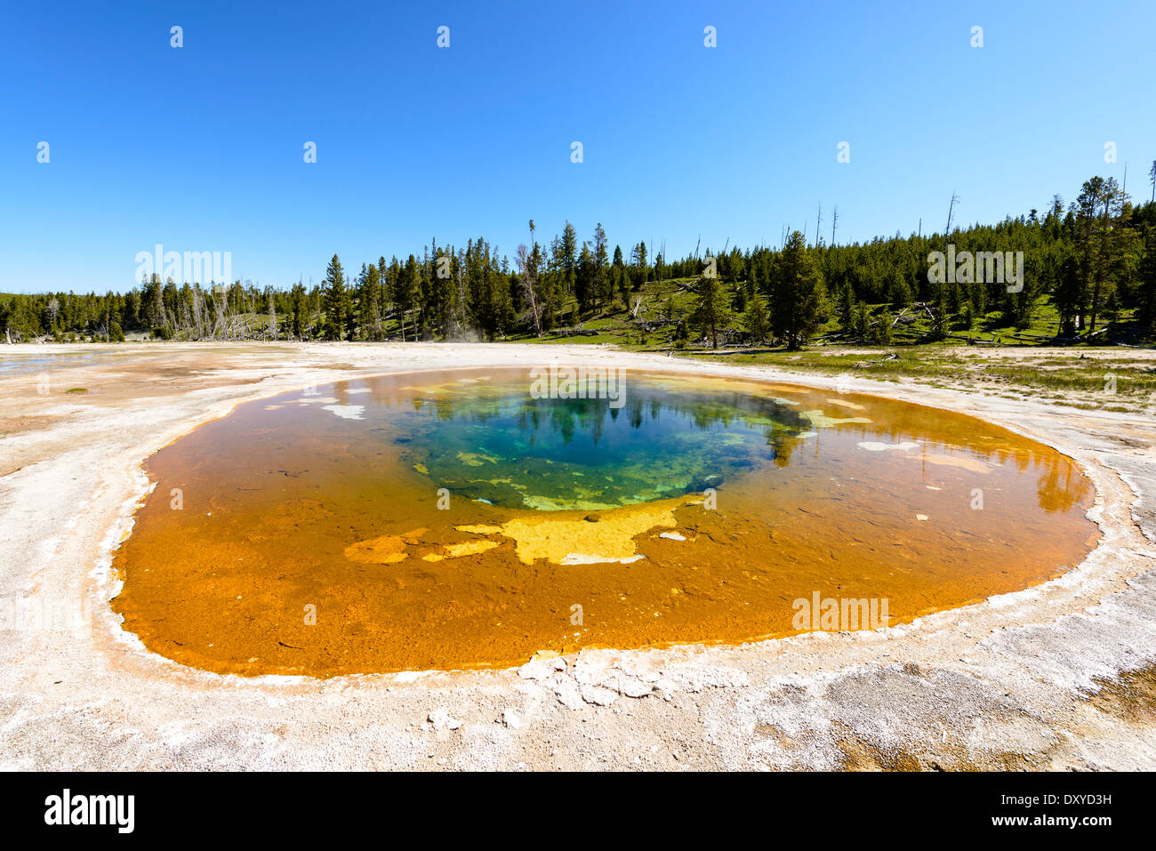 Beauty of yellowstone hi-res stock photography and images - Alamy