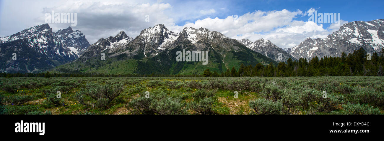 The Teton Range mountains in Grand Teton National Park Stock Photo - Alamy