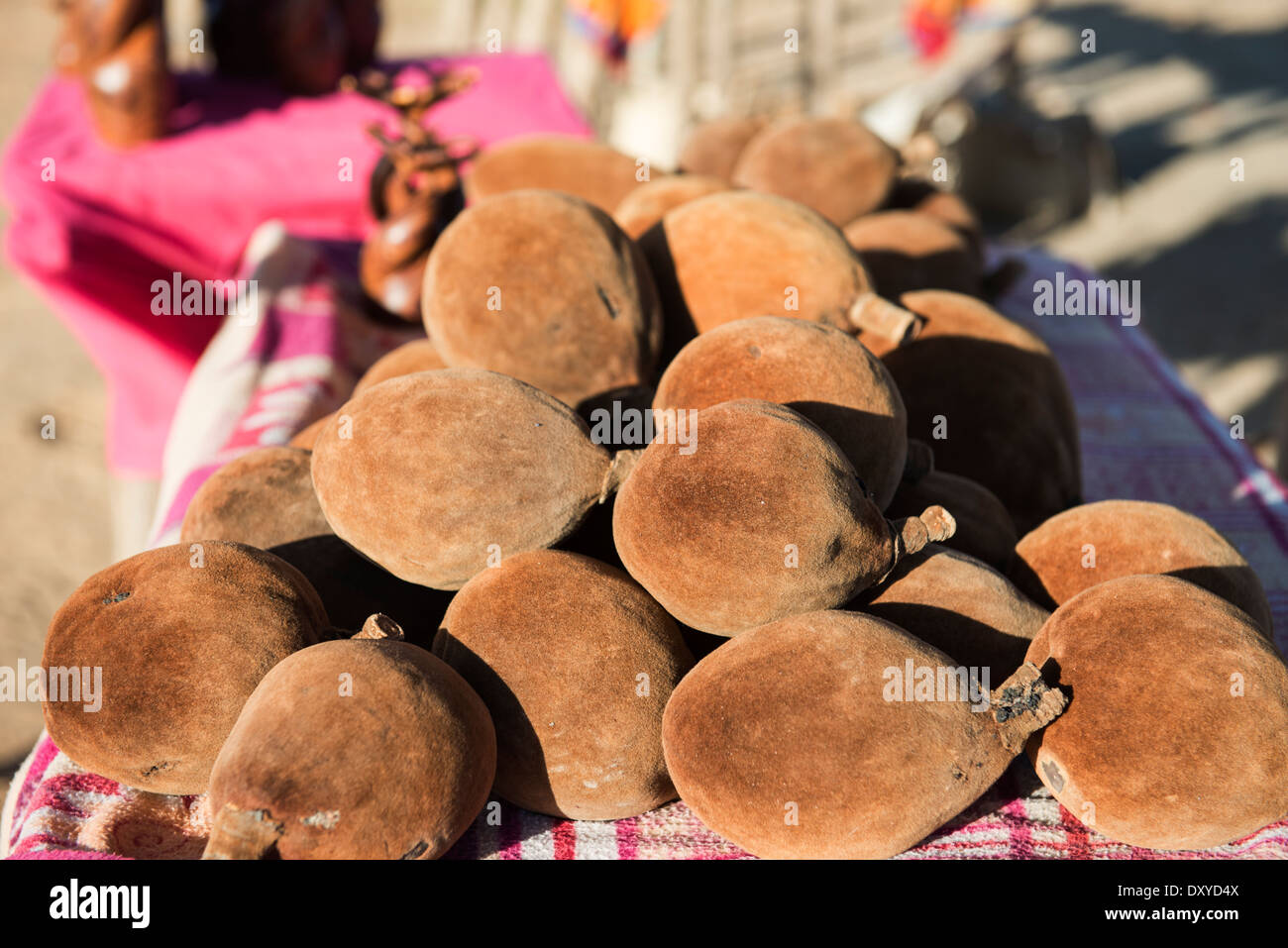 Baobab tree fruit hi-res stock photography and images - Alamy
