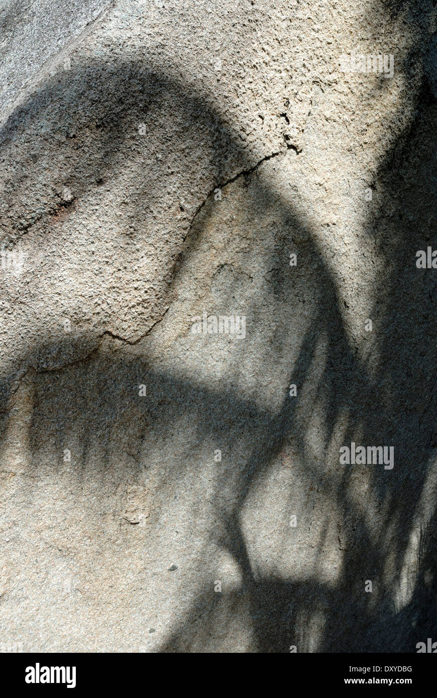 Coconut Palm Tree Shadows on Boulders at Anse Source d'Argent Beach at ...