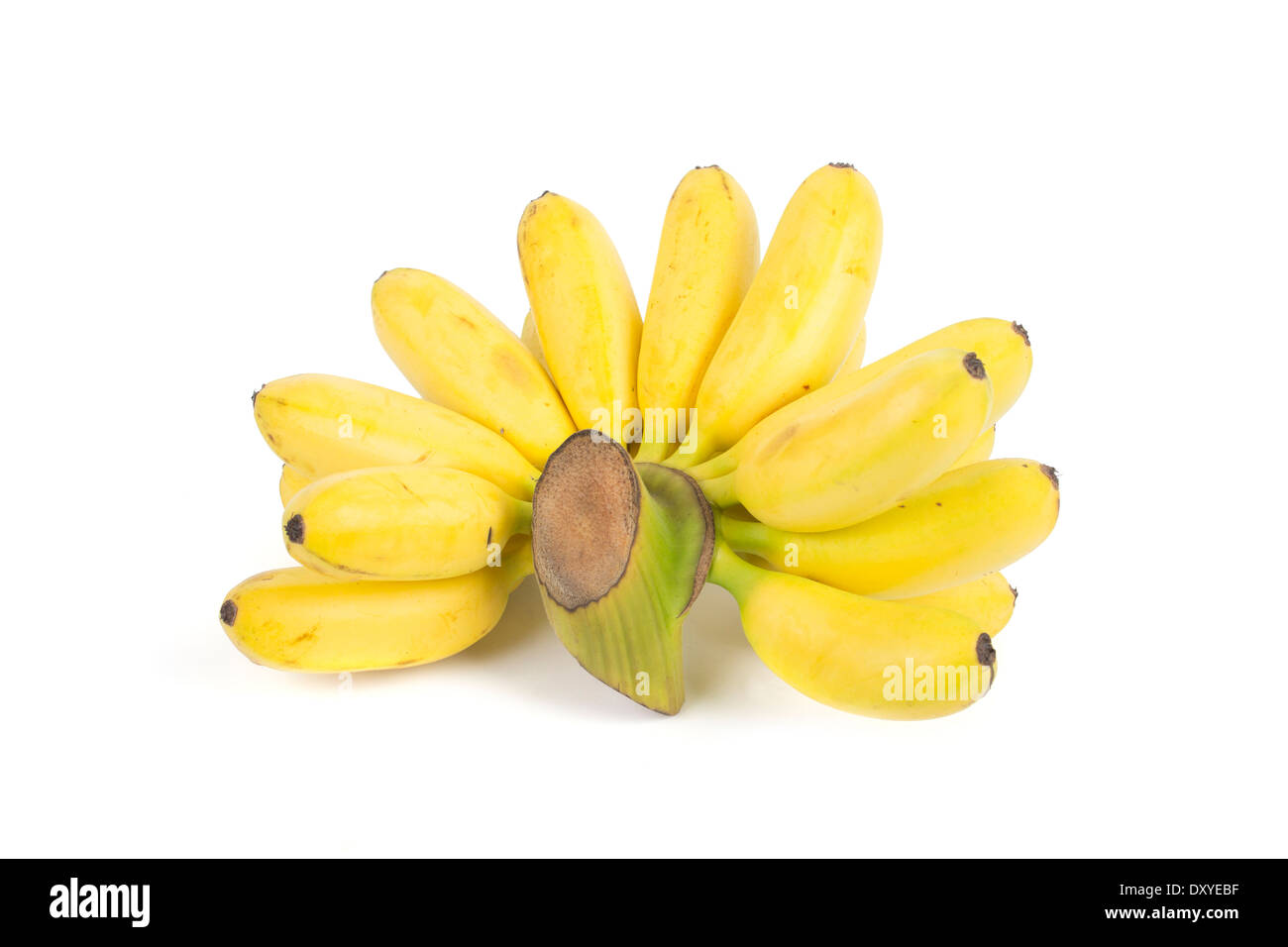 Banana bunch ripe on white background Stock Photo - Alamy