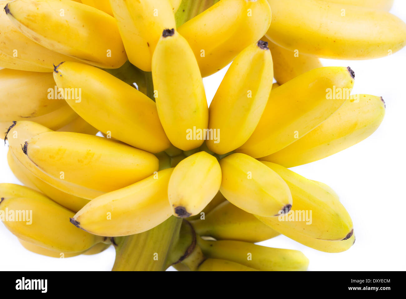 Banana bunch ripe on white background Stock Photo - Alamy