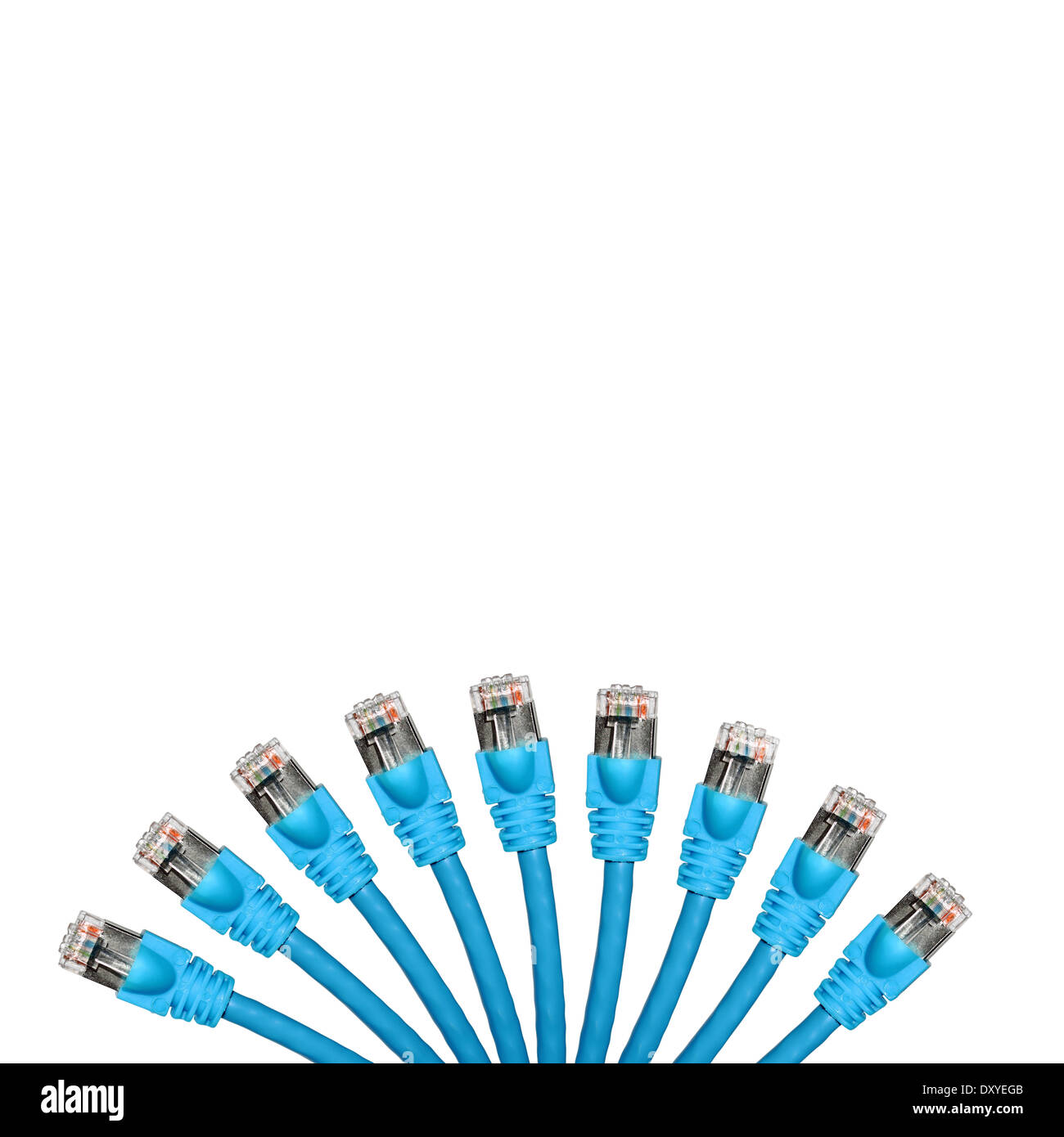 Lan cable isolated white background with copy space Stock Photo - Alamy