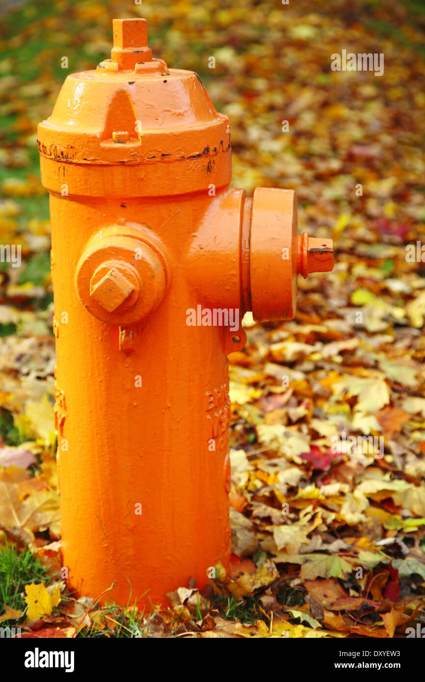 Orange fire hydrant hi-res stock photography and images - Alamy